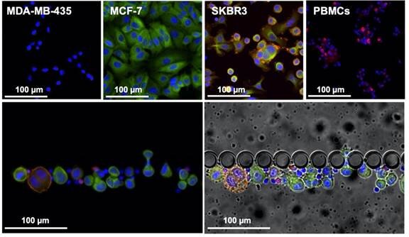 INL Researchers publish a paper about the relevance of CTC ...