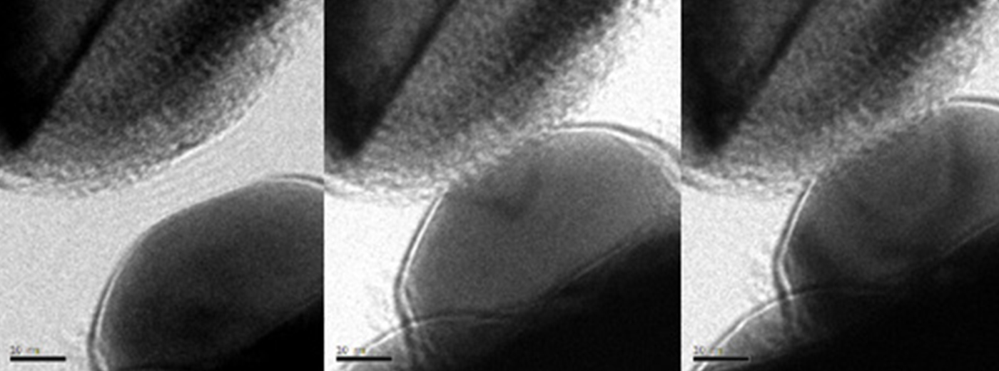 Atomic Manipulation for Quantum Nanotechnology (AMQN) - INL