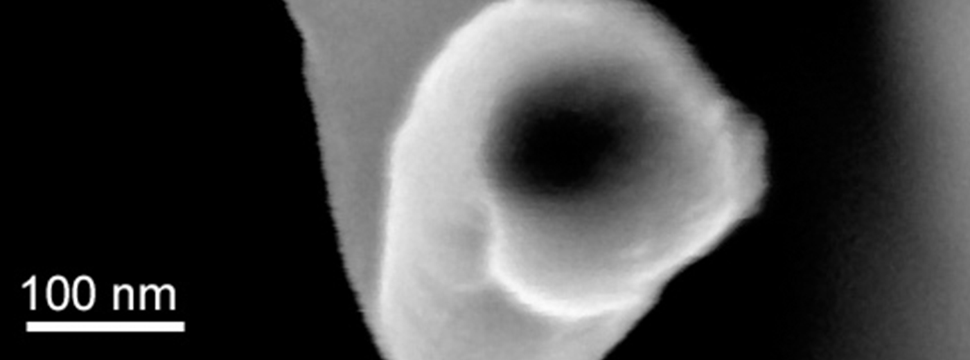 Atomic Manipulation for Quantum Nanotechnology (AMQN) - INL