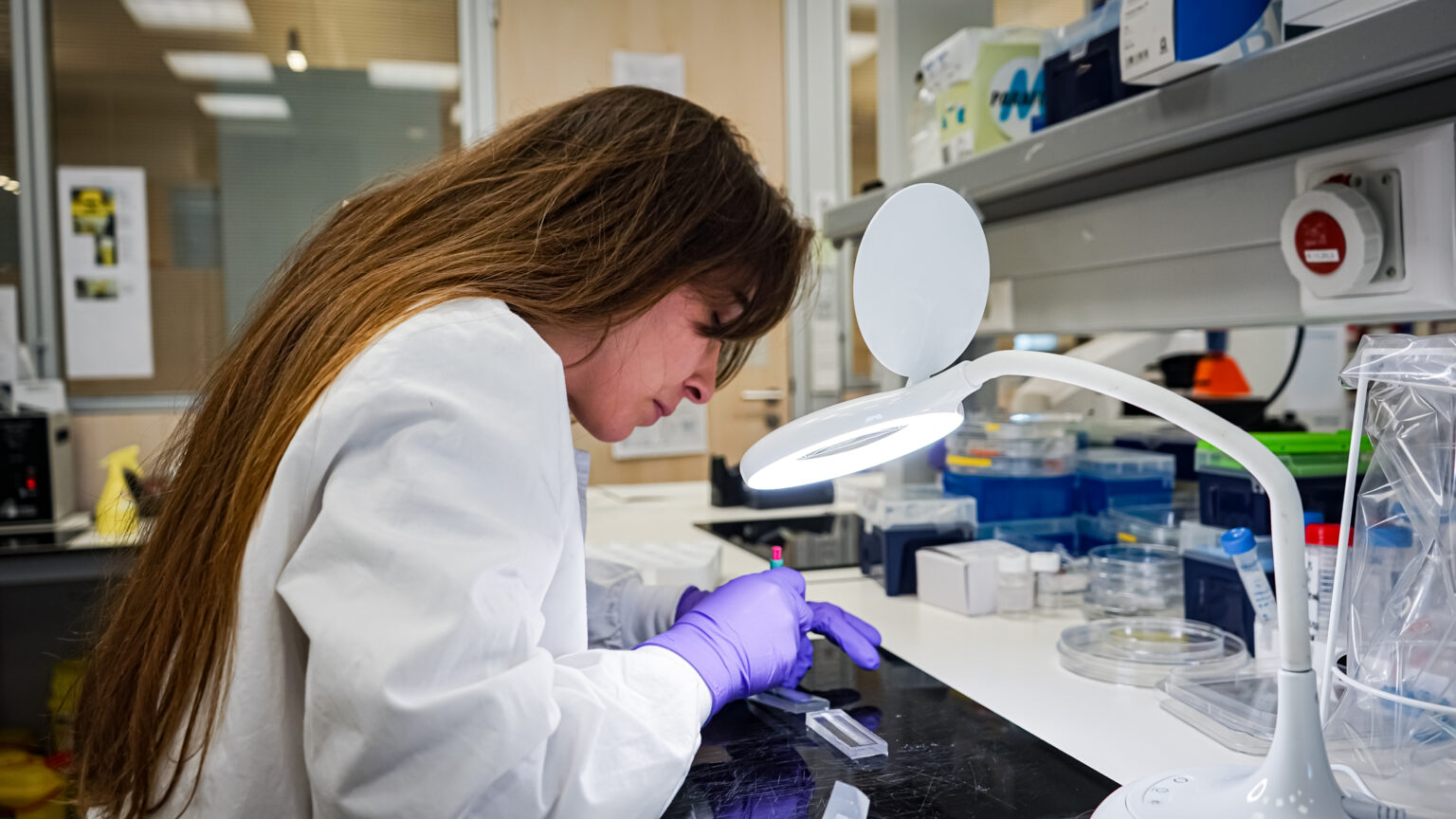 Alexandra Teixeira, developing diagnostic tools tailored for accurate ...