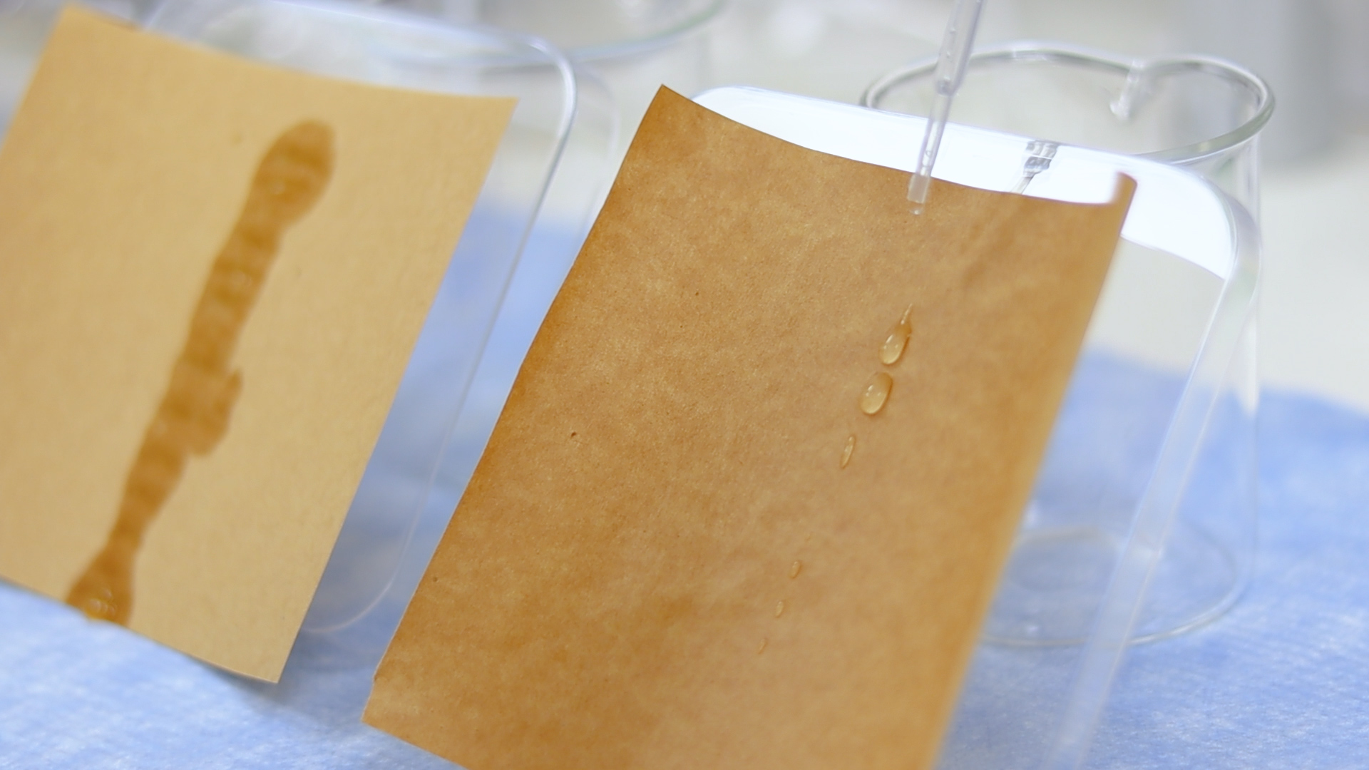 Nanotechnology as a strategy for plastics in a circular economy - INL