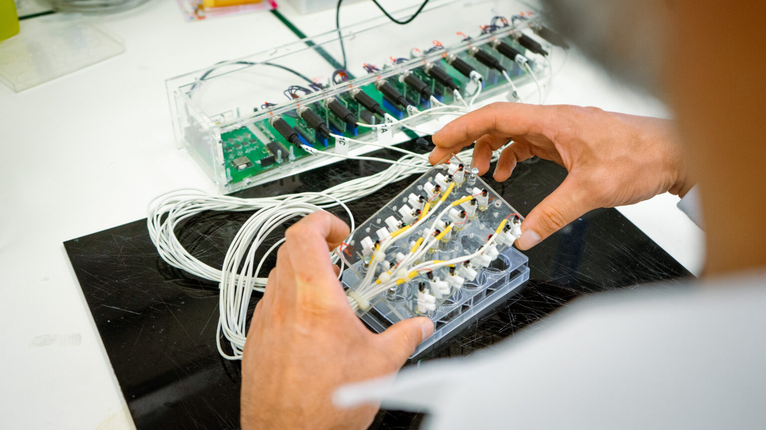 INL develops new tool to explore electrical stimulation effects on cells